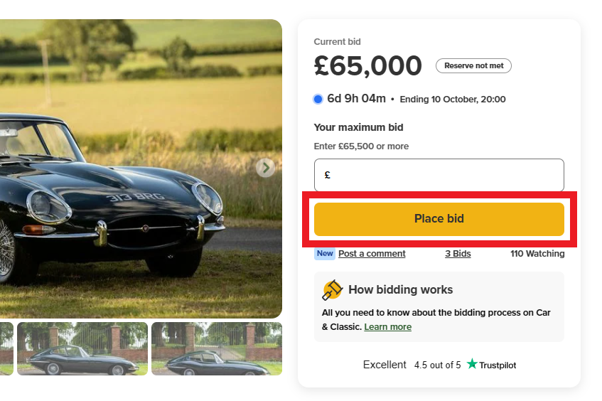 How do I bid on an auction?